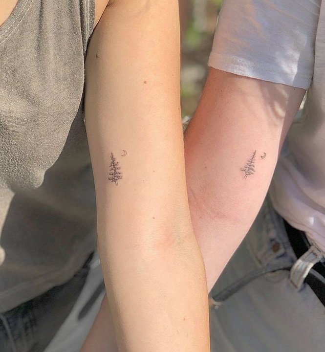 87 Evergreen Tree Tattoo Ideas - Tidy Tale